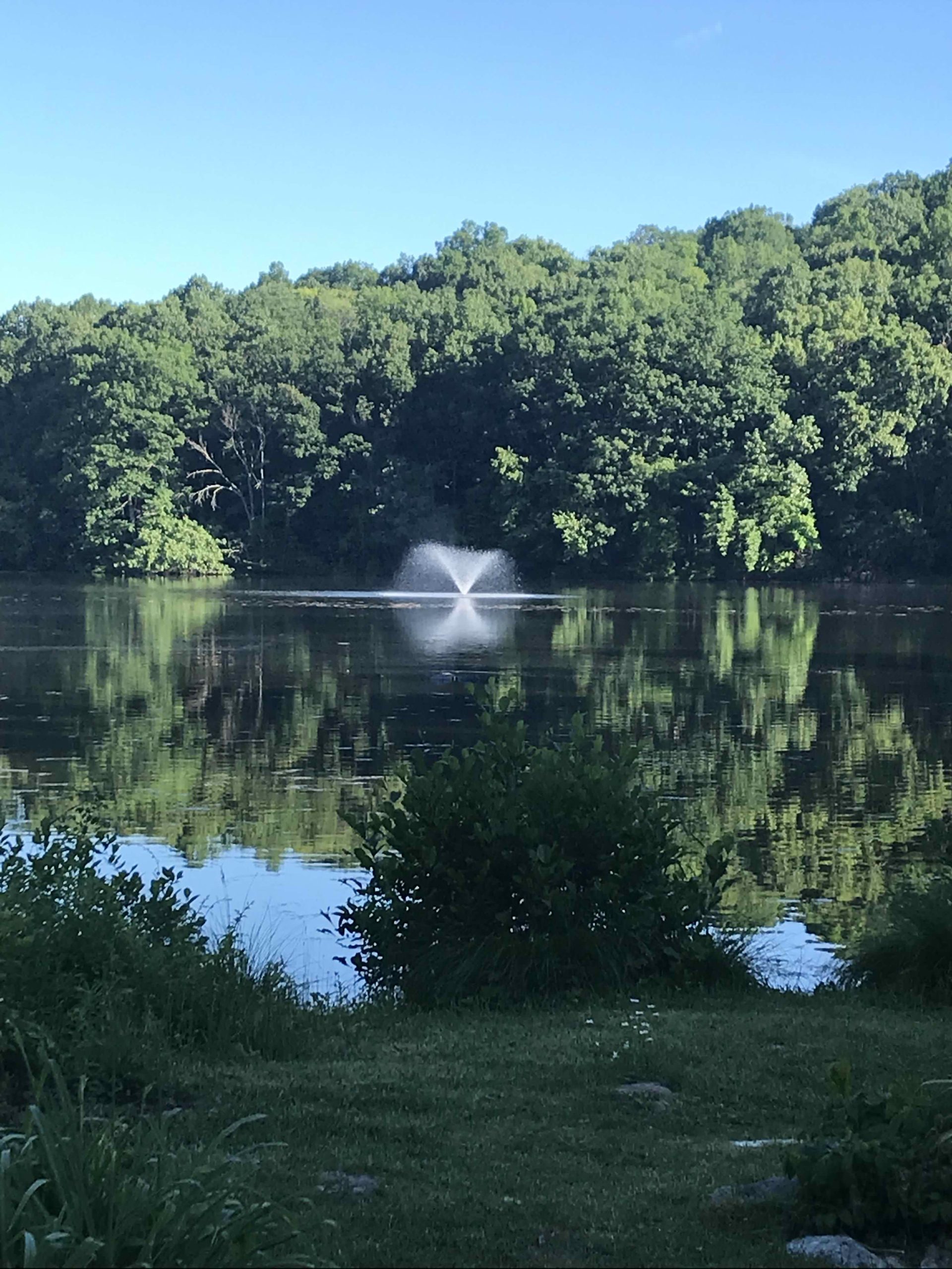 Pine Village – Tall Timbers